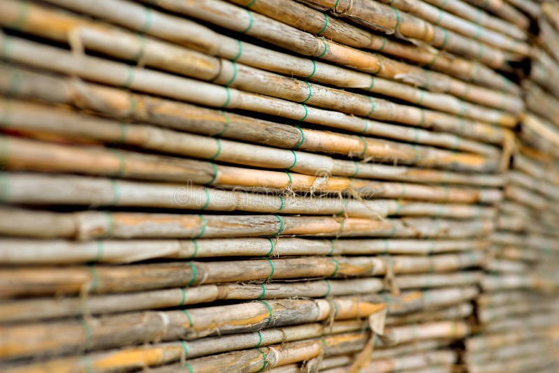 Reed panel stock image. Image of traditional, gardening - 51183969