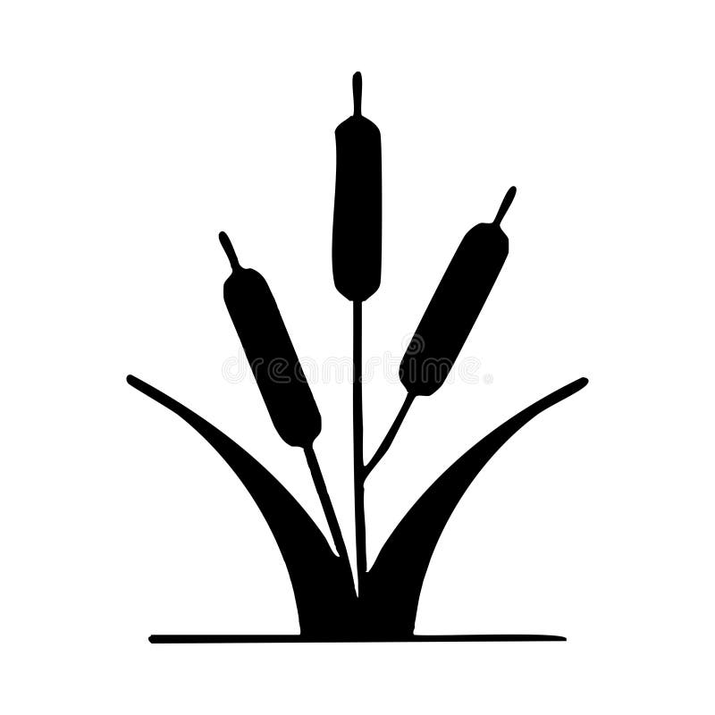 Reed Plant Silhouette Isolated Icon Vector Illustration Design, Simple ...