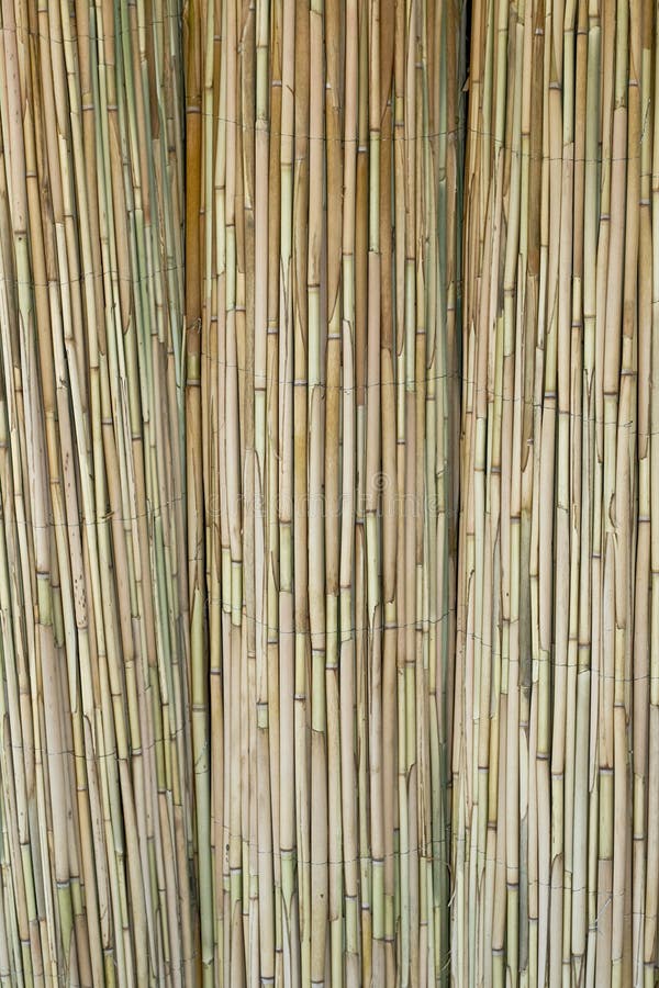 Reed rattan stock image. Image of reed, background, material - 173589167