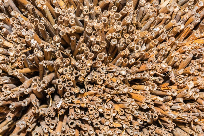 Reed Roof Texture in Rural Home Stock Image - Image of roof, macro ...