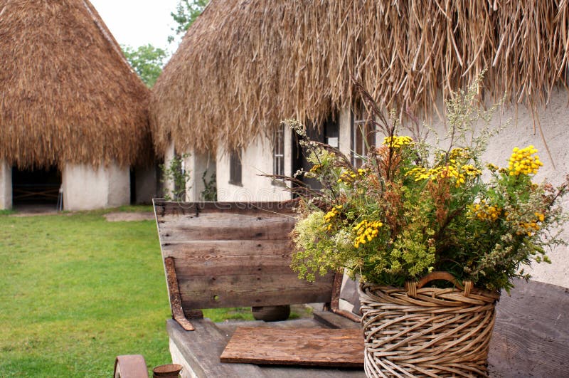 Reed roofs stock photo. Image of roof, ancient, grass - 6152432