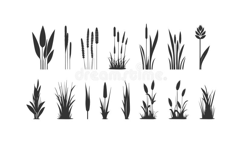 Reed Silhouette Icon Set. Vector Illustration Stock Illustration ...