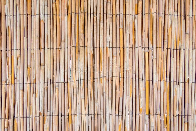 Dry Reed Wall As Background. Stock Image - Image of footstalk, reed ...