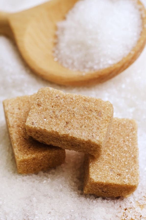Reed sugar stock image. Image of cane, isolated, closeup - 23290883
