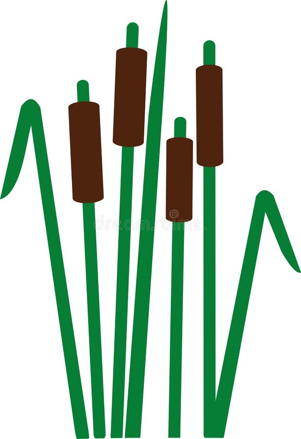 Reed Vector Icon Isolated On Transparent Background, Linear Reed Stock ...