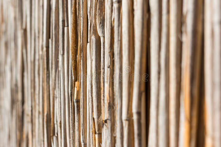 Straw Twig Seamless Texture Stock Photos - Free & Royalty-Free Stock ...