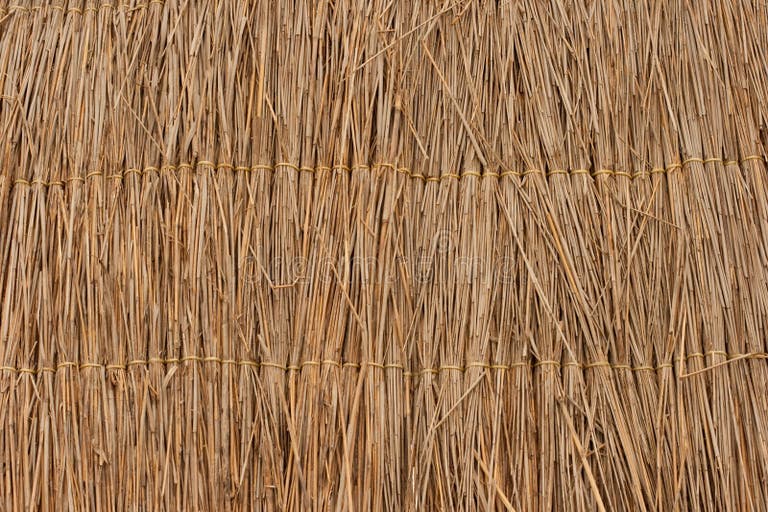 4,998 Thatch Texture Stock Photos - Free & Royalty-Free Stock Photos ...