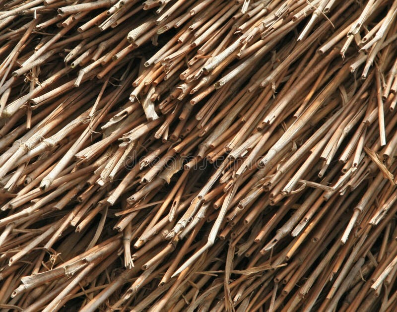 Reed thatch detail stock image. Image of craft, thatch - 5314825