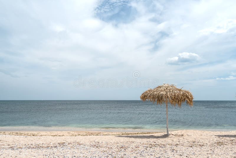 Reed Umbrellas on the Beach Stock Photo - Image of clear, paradise ...