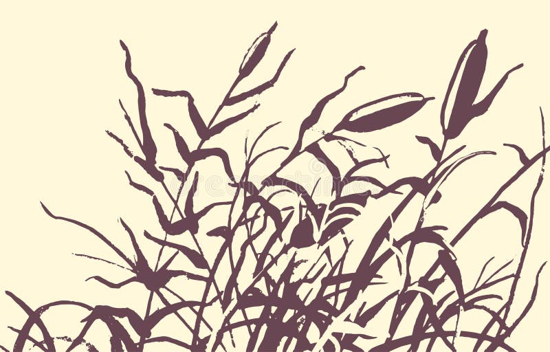 Reed vector illustration. stock vector. Illustration of marsh - 71738102