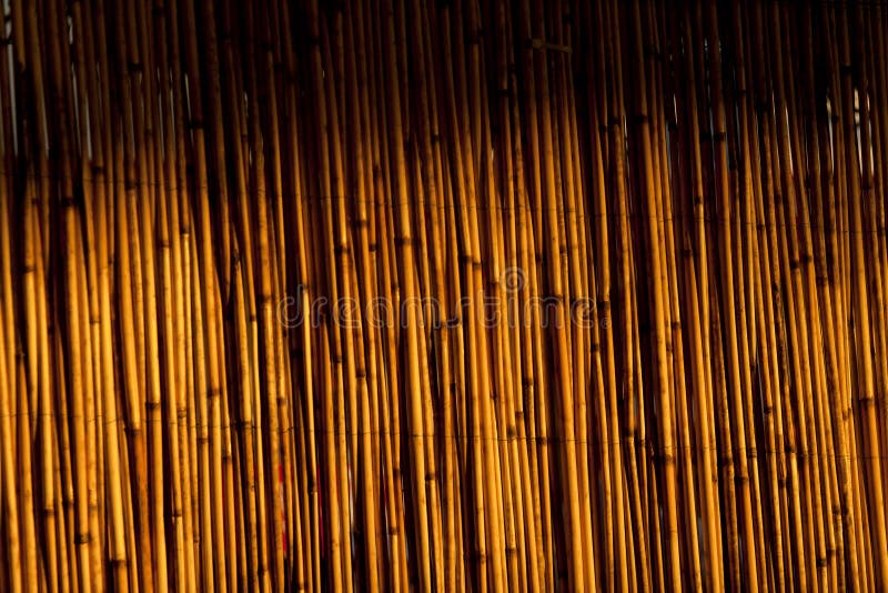 Reed Wall stock image. Image of textured, brown, natural - 20841611