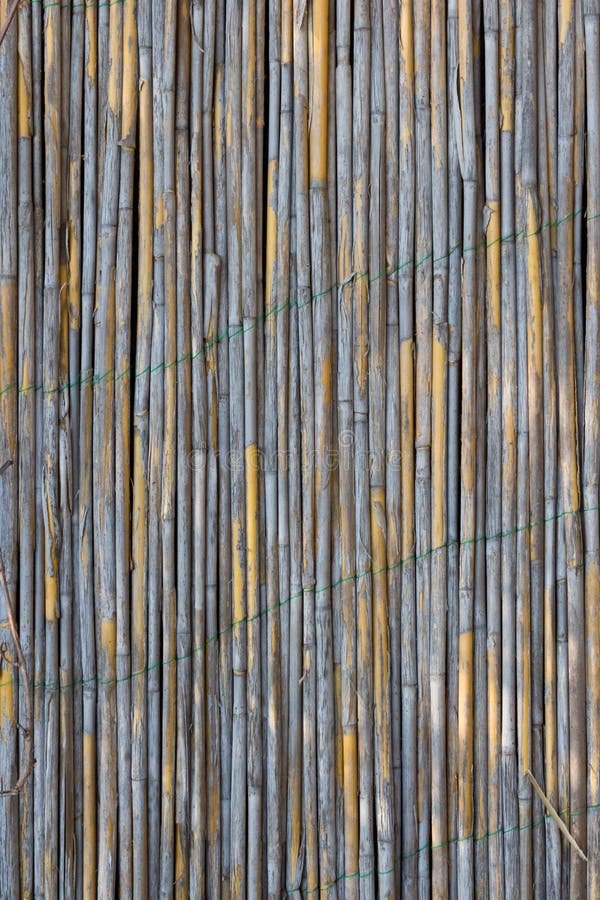 Reed wall texture stock photo. Image of fragment, architecture - 141547314