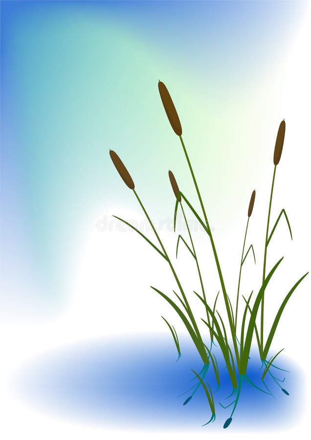 Reed Stock Illustrations – 13,134 Reed Stock Illustrations, Vectors ...