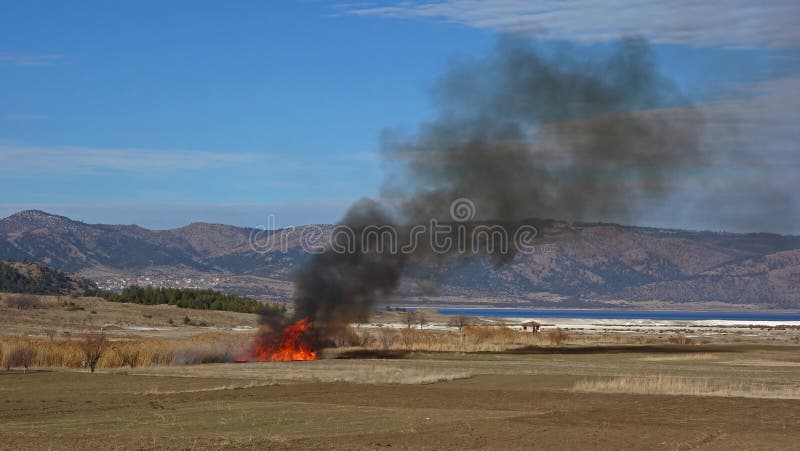 Reedbed Fire. Fire on the Edge of a Wetland Stock Image - Image of ...