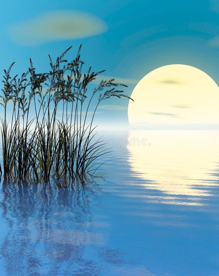 Reeds stock illustration. Illustration of ocean, atmosphere - 28915472