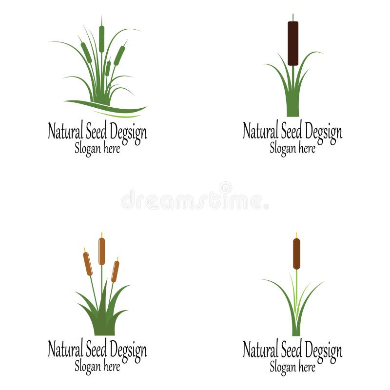 Reeds Icon Vector Design Template and Symbol Stock Vector ...