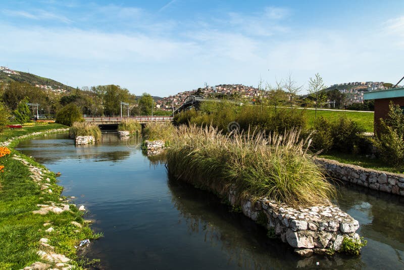 Reeds inside River stock photo. Image of river, seka - 54711018