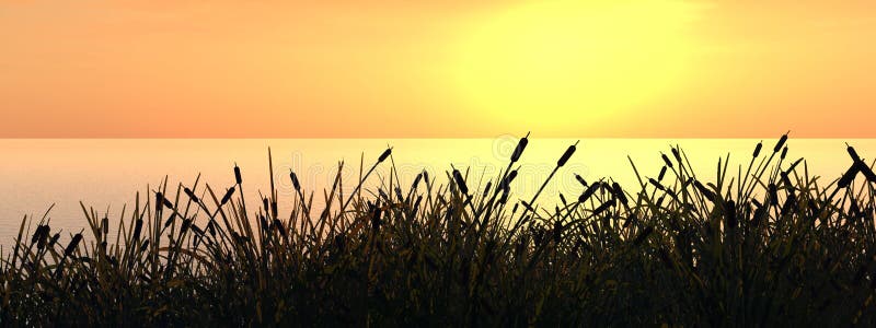 Reeds_OB stock illustration. Illustration of ocean, bright - 2338863