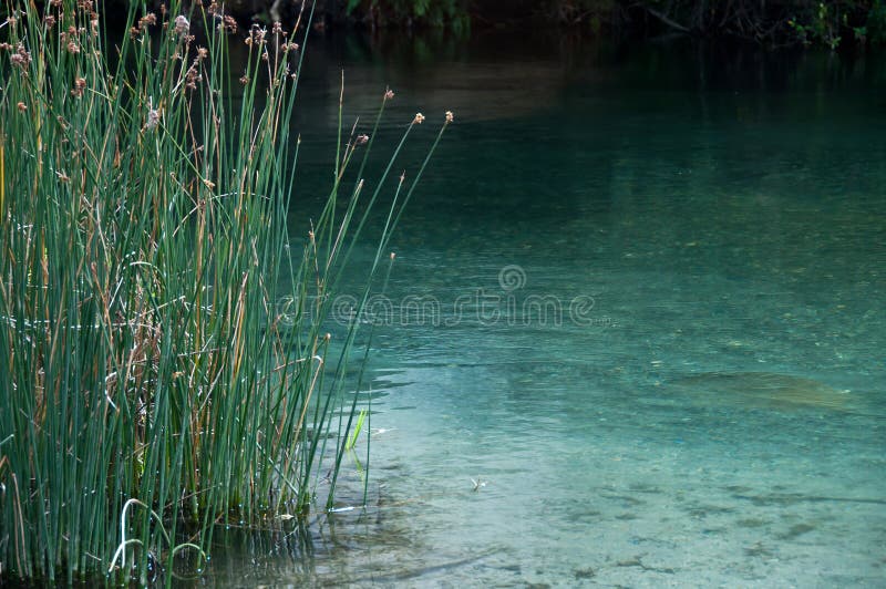 The River Nile - Aerial / Elevated View Stock Image - Image of delta ...