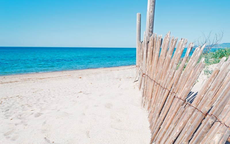 Reeds and sand stock photo. Image of mediterranean, quiet - 30619320