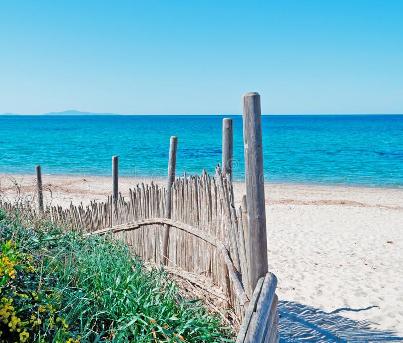 Reeds by the sea stock photo. Image of blue, path, sand - 30619070