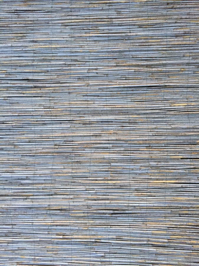 Reeds Texture for Interesting and Creative Backgrounds. Stock Photo ...