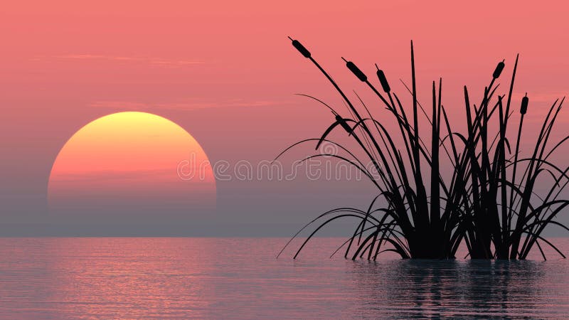 Reeds at the Edge of the Pond Stock Vector - Illustration of blow ...