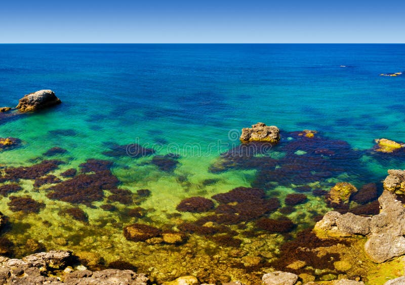 Reef beach stock photo. Image of large, beautiful, marine - 6228446