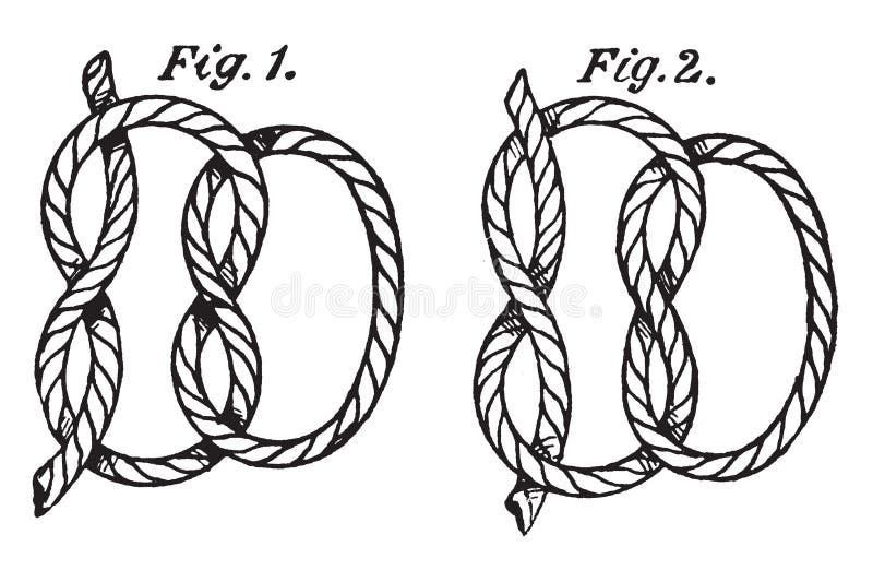 Reef Knot, Vintage Illustration Stock Vector - Illustration of vintage ...
