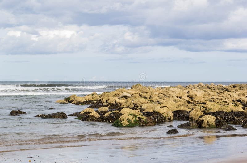 Reef rock editorial stock image. Image of horizon, nature - 109597674