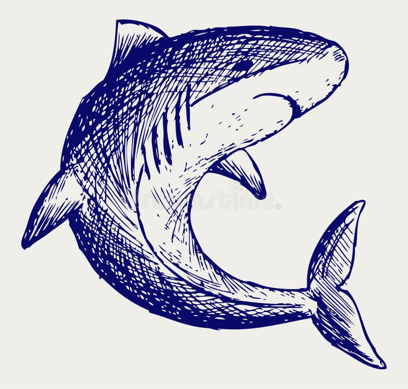 Shark Doodle Stock Illustrations – 6,637 Shark Doodle Stock ...