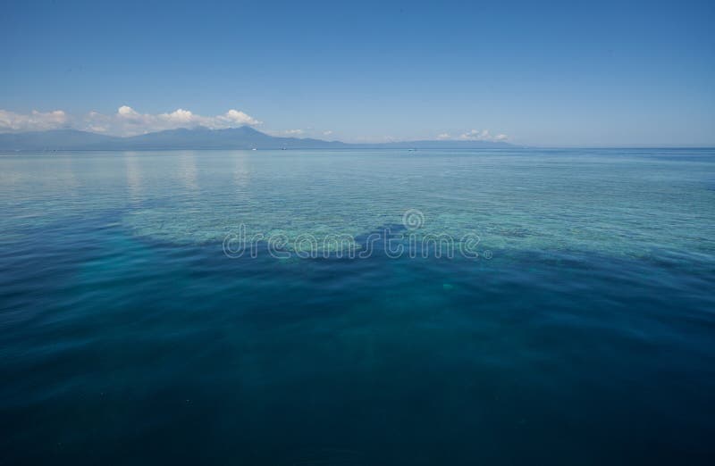Reef stock photo. Image of coral, marine, summer, sunny - 46209876
