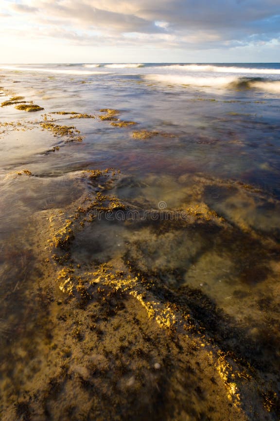 Reef and Waves stock photo. Image of coast, travel, rocks - 17645546
