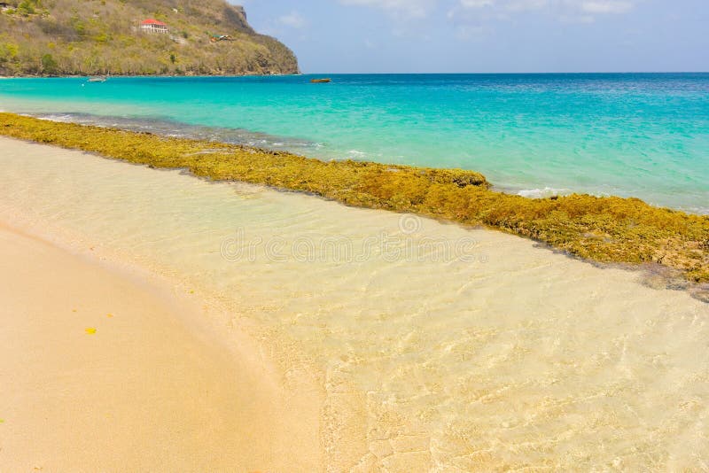 Surf and Reef in Spring Bay on Bequia. Stock Image - Image of windy ...