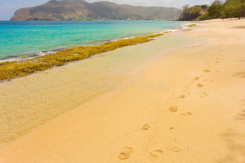A Reef in the Windward Islands Stock Image - Image of foaming, sandy ...