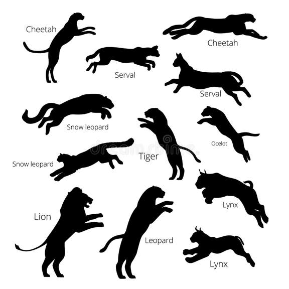 Reeks Die Van Vector Grote Katten Springen Vector Illustratie ...