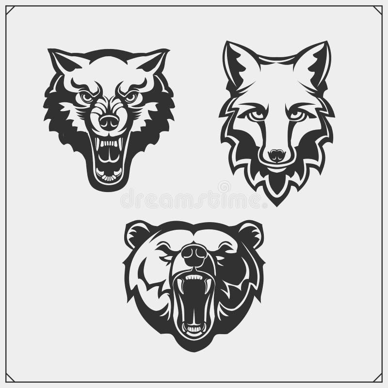 Reeks Dieren Beer, Wolf En Vos Vector Illustratie - Illustration of ...