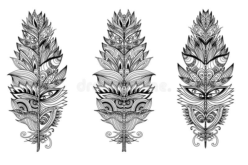 Reeks Hand Getrokken Pluimen Vector Illustratie Vector Illustratie ...