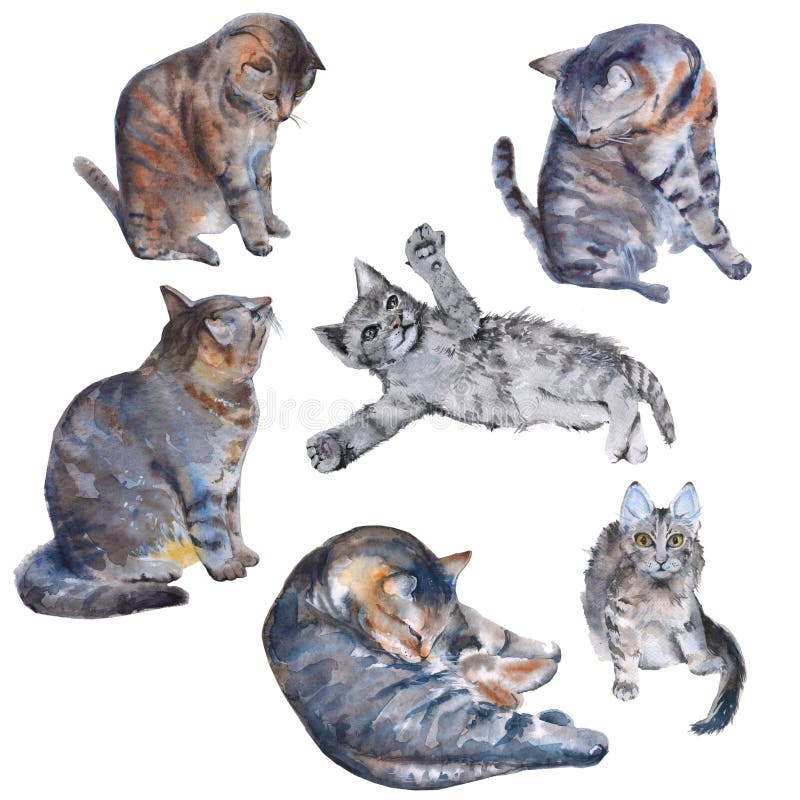 Reeks Met Katten Op Witte Achtergrond Stock Illustratie - Illustration ...