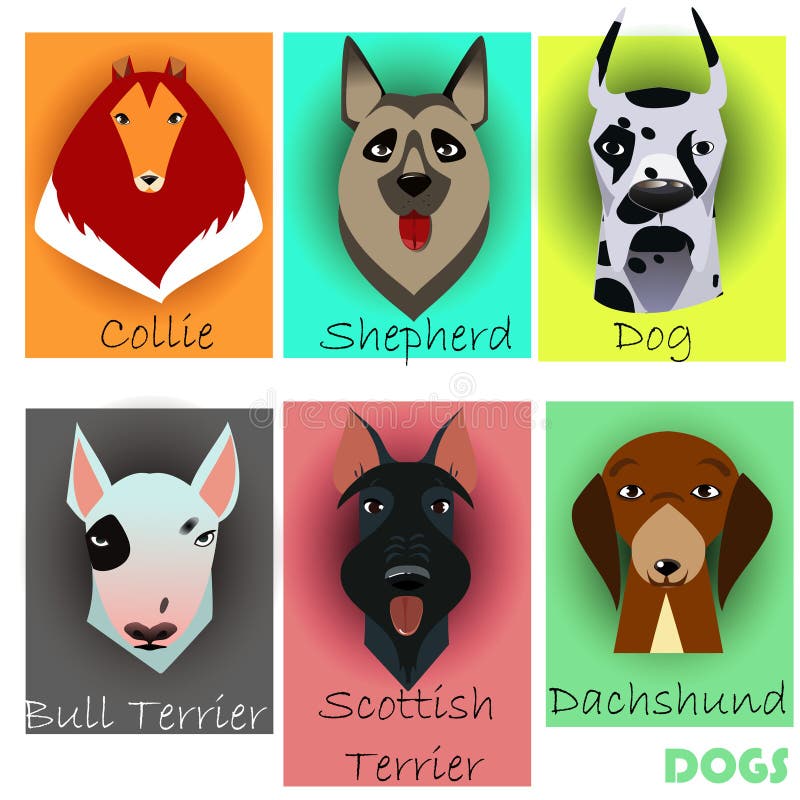 Reeks met rashonden vector illustratie. Illustration of edel - 60369361