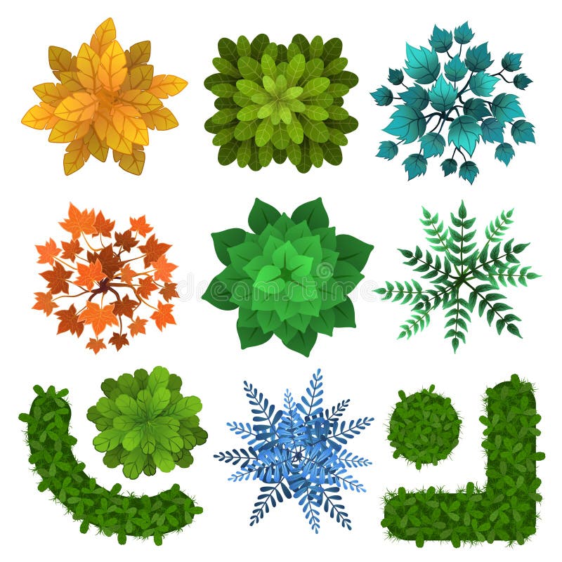 Reeks Verschillende Groene Bomen, Struiken, Hagen Vector Illustratie ...