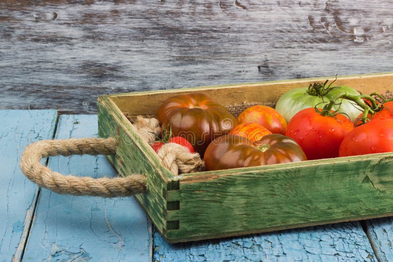 Reeks Verschillende Soorten Tomaten Stock Afbeelding - Image of soort ...