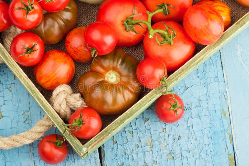 Reeks Verschillende Soorten Tomaten Stock Foto - Image of achtergrond ...