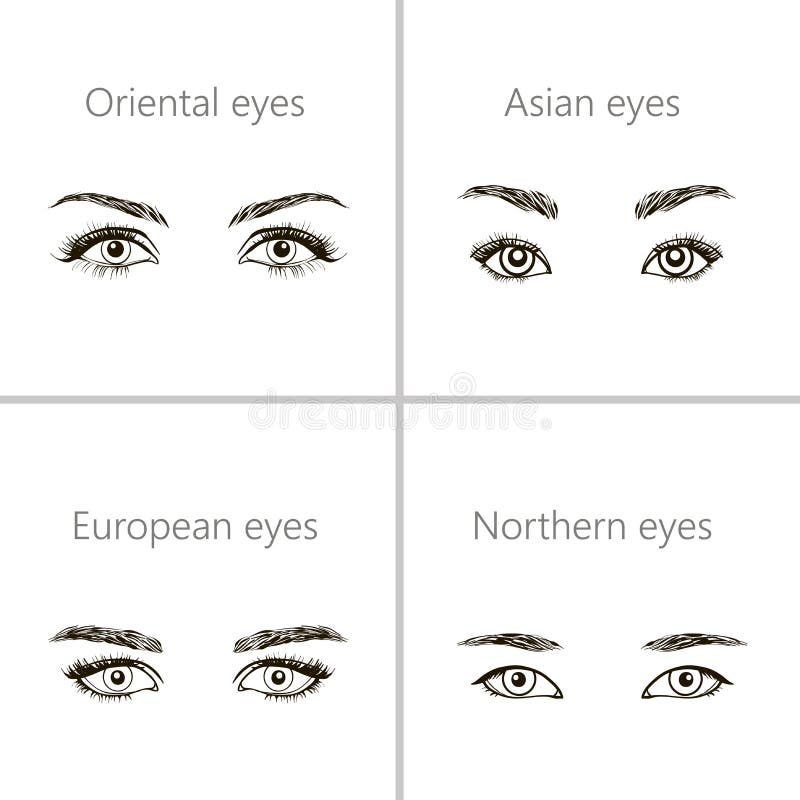 Reeks Verschillende Types Van Ogen Vector Illustratie - Illustration of ...