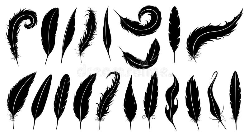 Pluim Stock Illustrations, Vectors, & Clipart – (24,589 Stock ...