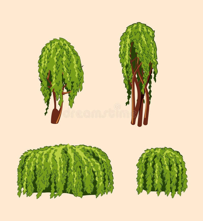 Reeks wilgen en struiken vector illustratie. Illustration of reusachtig ...
