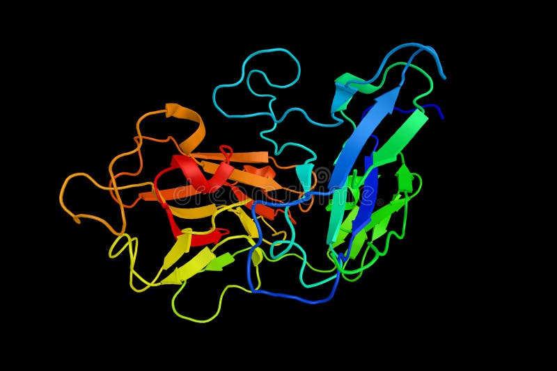 Reelin, a Large Secreted Extracellular Matrix Glycoprotein that Stock ...