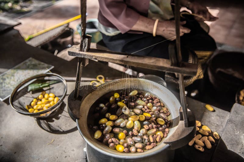 Reeling silk from cocoons stock photo. Image of production - 121049662