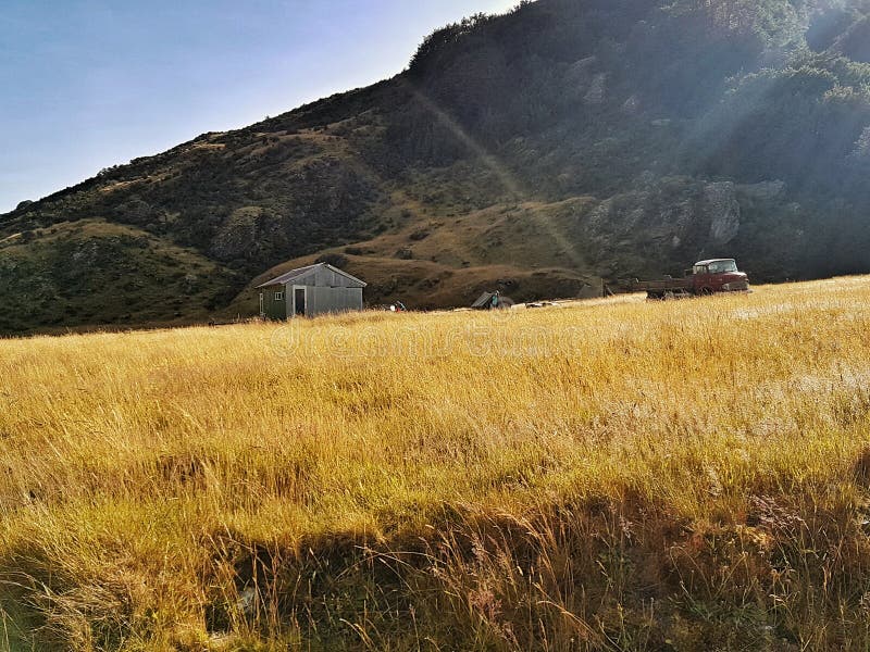 Rees Valley stock photo. Image of hills, valleys, newzealandscenery ...