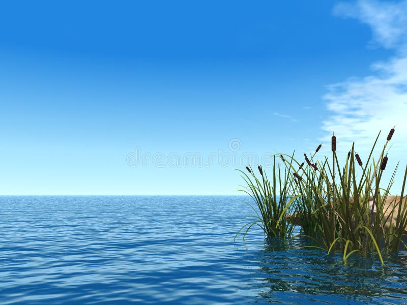 Reet stock illustration. Illustration of green, saturated - 2816633